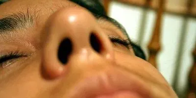 Sniff While You Sleep | The Scientist