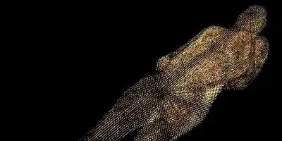 Mapping the Human Proteome | The Scientist