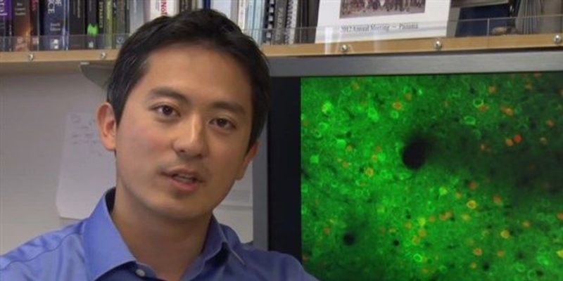 Rise, Mickey | The Scientist