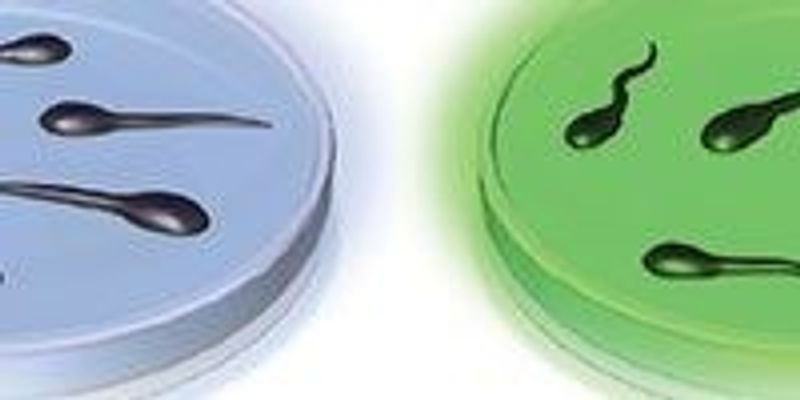 Light-Operated Drugs | The Scientist