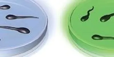 Light-Operated Drugs | The Scientist