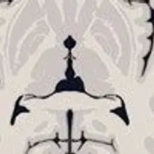 White Matter | The Scientist