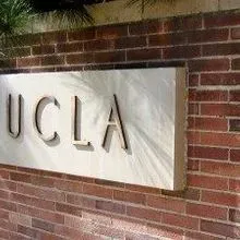 Ucla Lab Death