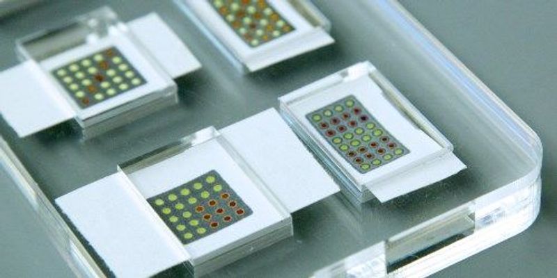 Next Generation: Freeze-Dried Gene Networks | The Scientist