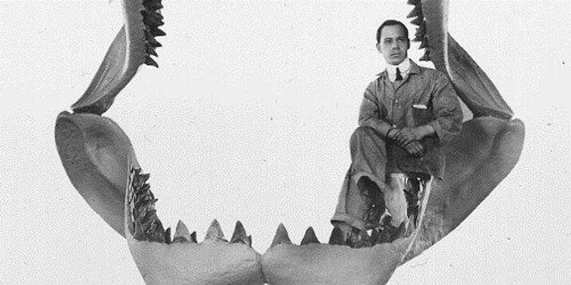 Image of the Day: Gigantic Jaws | The Scientist