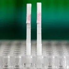 High-Tech Yogurt Could Detect Disease | The Scientist