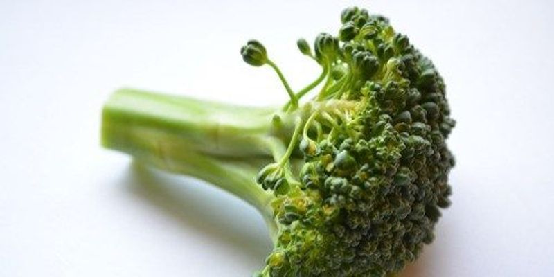 Broccoli Molecule May Ease Autism Symptoms | The Scientist