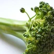 Small Molecule Drugs | The Scientist