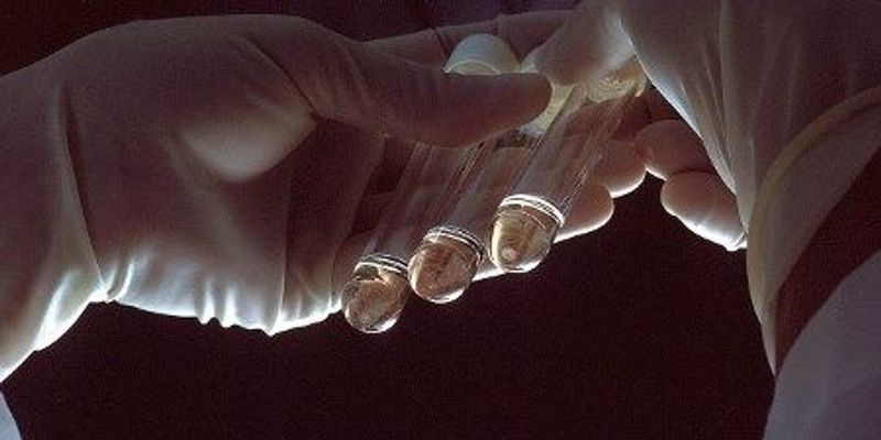 Chinese Cloning Researcher Arrested | The Scientist