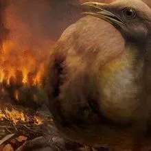 Present-Day Arboreal Birds Have Ground-Dwelling Past | The Scientist