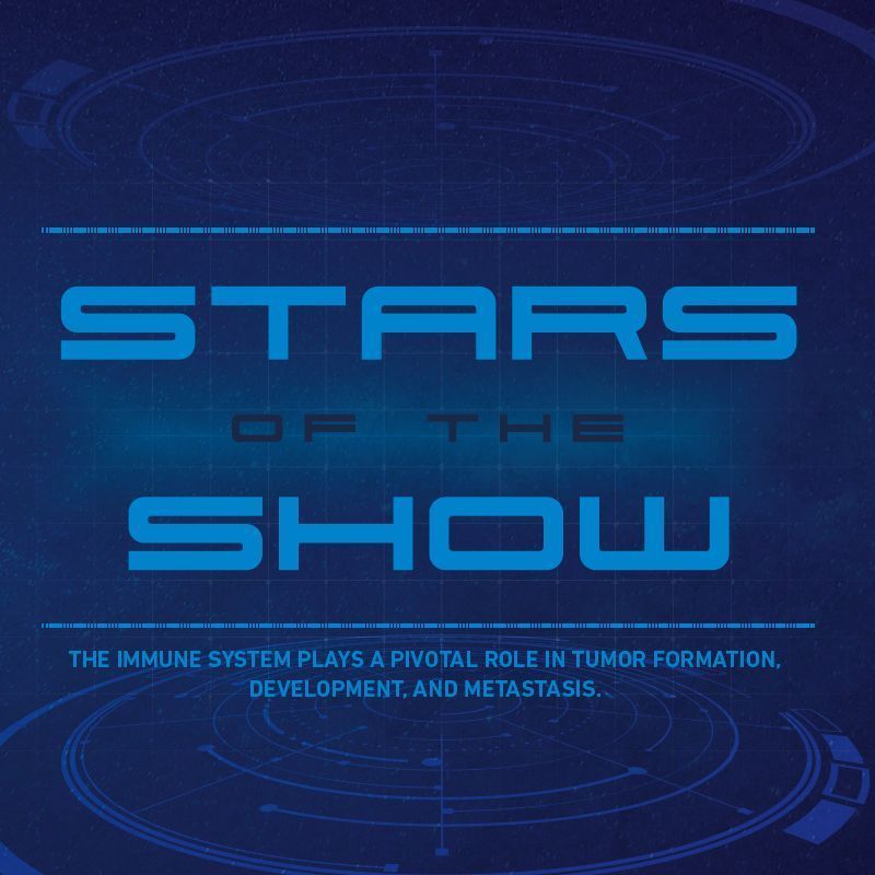 Stars of the Show: The Immune System Plays a Pivotal Role in Tumor ...