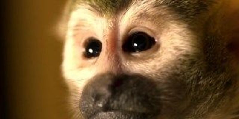 Inside the Color Lab | The Scientist