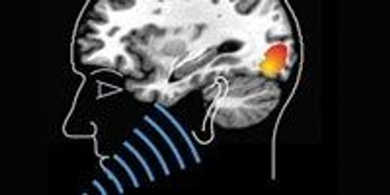 Sound and Light Show | The Scientist