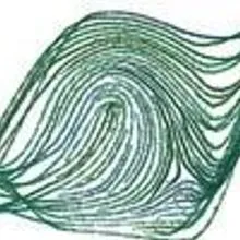 Image Tracking | The Scientist