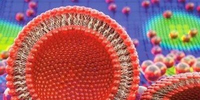 Image of the Day: Adhesion in Action | The Scientist