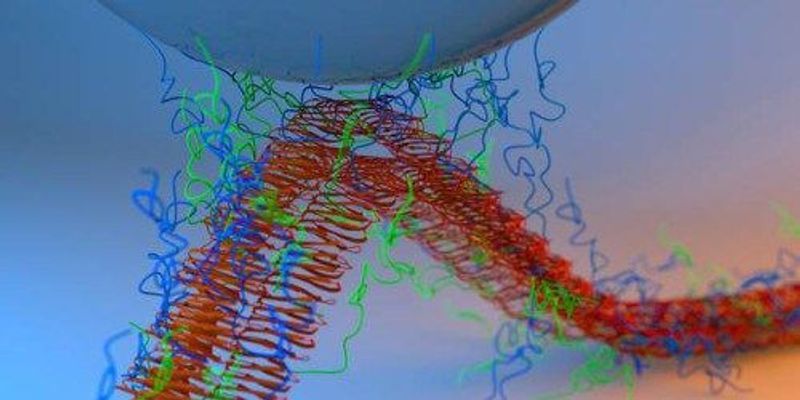 Joining Forces | The Scientist