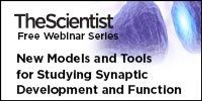 New Models and Tools for Studying Synaptic Development and Function ...