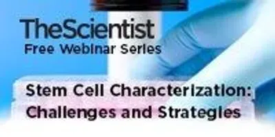 Stem Cell Characterization: Challenges and Strategies | The Scientist