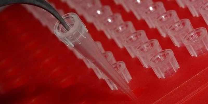 Roche Buys Biotech for $8.3B | The Scientist