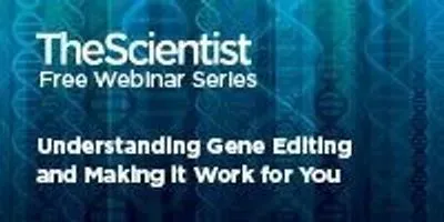Understanding Gene Editing and Making It Work for You | The Scientist