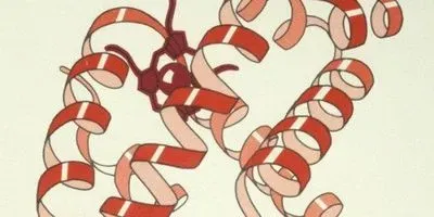 CRISPR Corrects Blood Disorder Gene | The Scientist