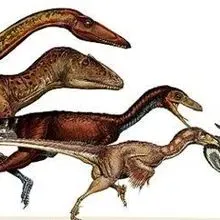 How Tinier Theropods Took Flight | The Scientist