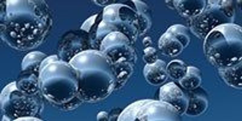 A Matter of Size | The Scientist