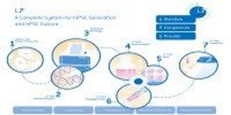New L7™ hiPSC Reprogramming and hPSC Culture System | The Scientist