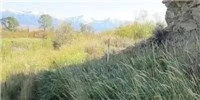 Ancient North American Infant Reburied | The Scientist