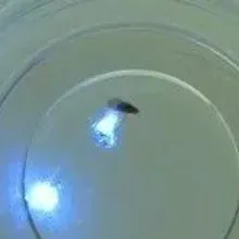 Laser-Guided Cock Block | The Scientist