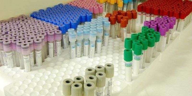 Banking on iPSCs | The Scientist
