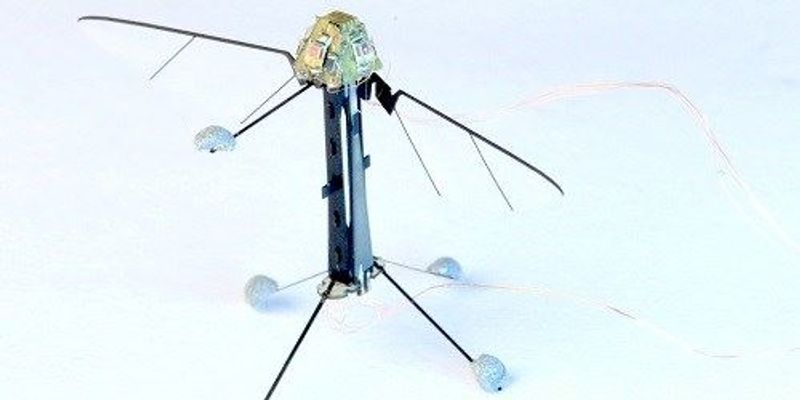 Insect-Inspired Sensors Improve Tiny Robot’s Flight | The Scientist