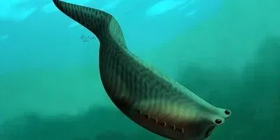 Ancient Fish Analyzed | The Scientist