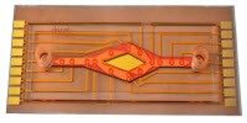 TEER measurement under Dynamic Flow Conditions. | The Scientist