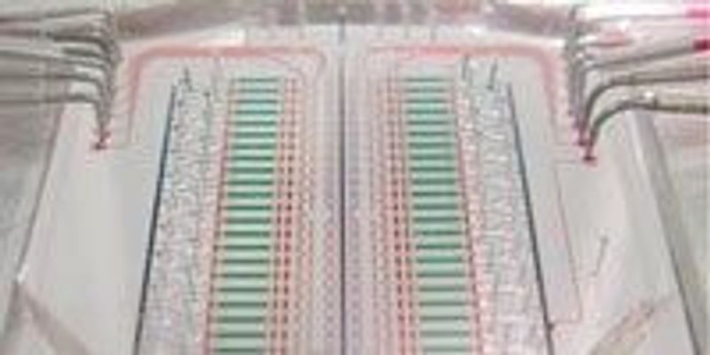 Singularly Alluring | The Scientist