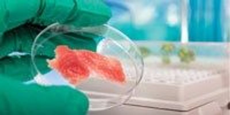 Speaking of Food Science | The Scientist