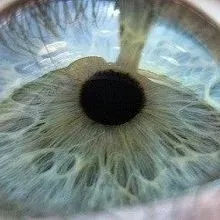 Visualizing the Ocular Microbiome | The Scientist