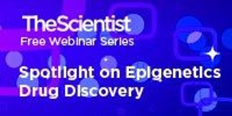Spotlight on Epigenetics Drug Discovery | The Scientist