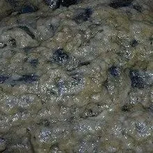 Rock Snot Explained | The Scientist