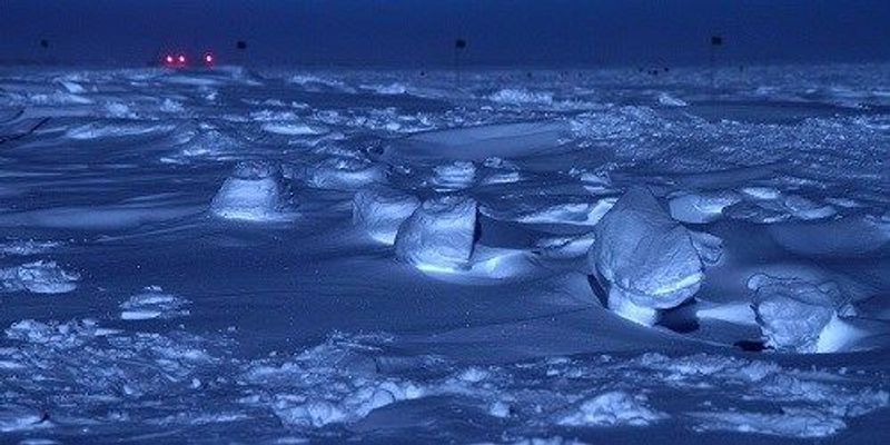 Image of the Day: Research Tracks | The Scientist