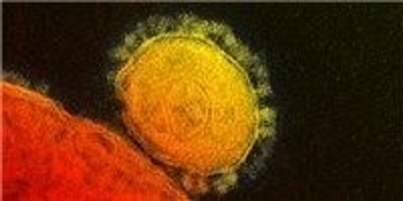 CDC: MERS Has Reached U.S. | The Scientist