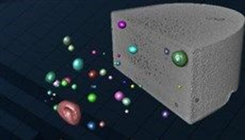 3D Image Analysis Software | The Scientist