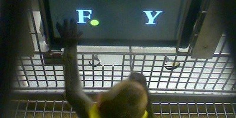 Monkey See, Monkey Add | The Scientist