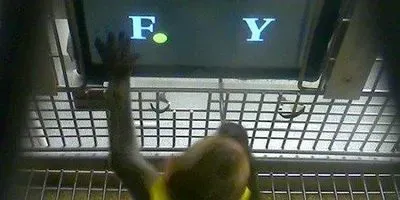 Monkey See, Monkey Add | The Scientist