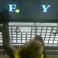 Monkey See, Monkey Add | The Scientist
