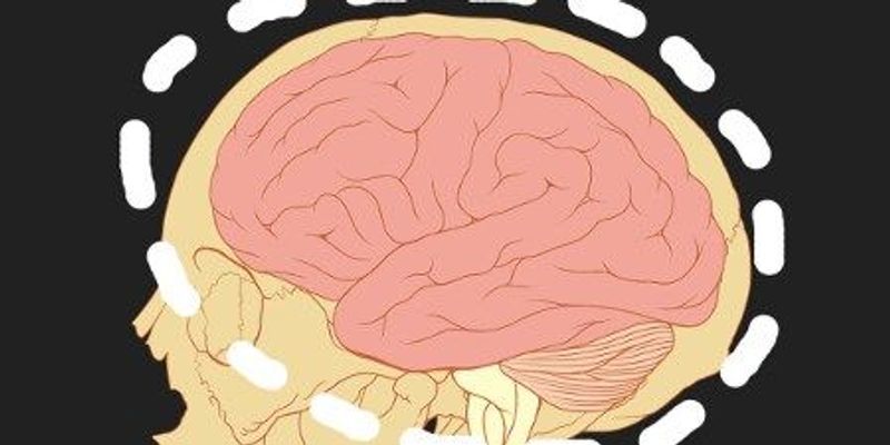 Does Brain Training Work The Scientist Magazine Does Brain Training Work The Scientist Magazine
