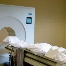 Vegetative State | The Scientist