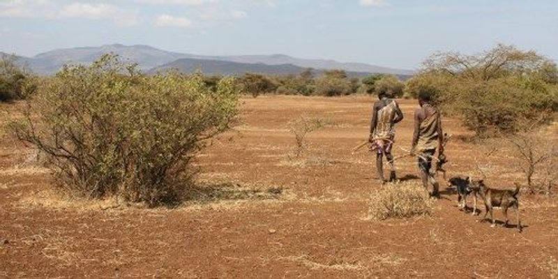 Diverse Microbes in Hunter-Gatherers’ Guts | The Scientist