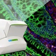 PerkinElmer Profile | The Scientist