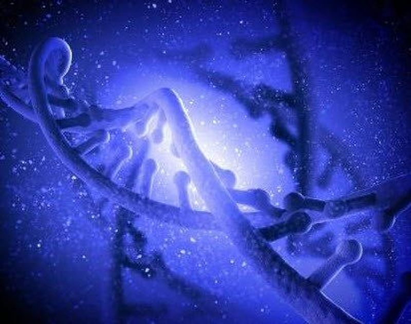 Quantitative Mycoplasma DNA Materials | The Scientist